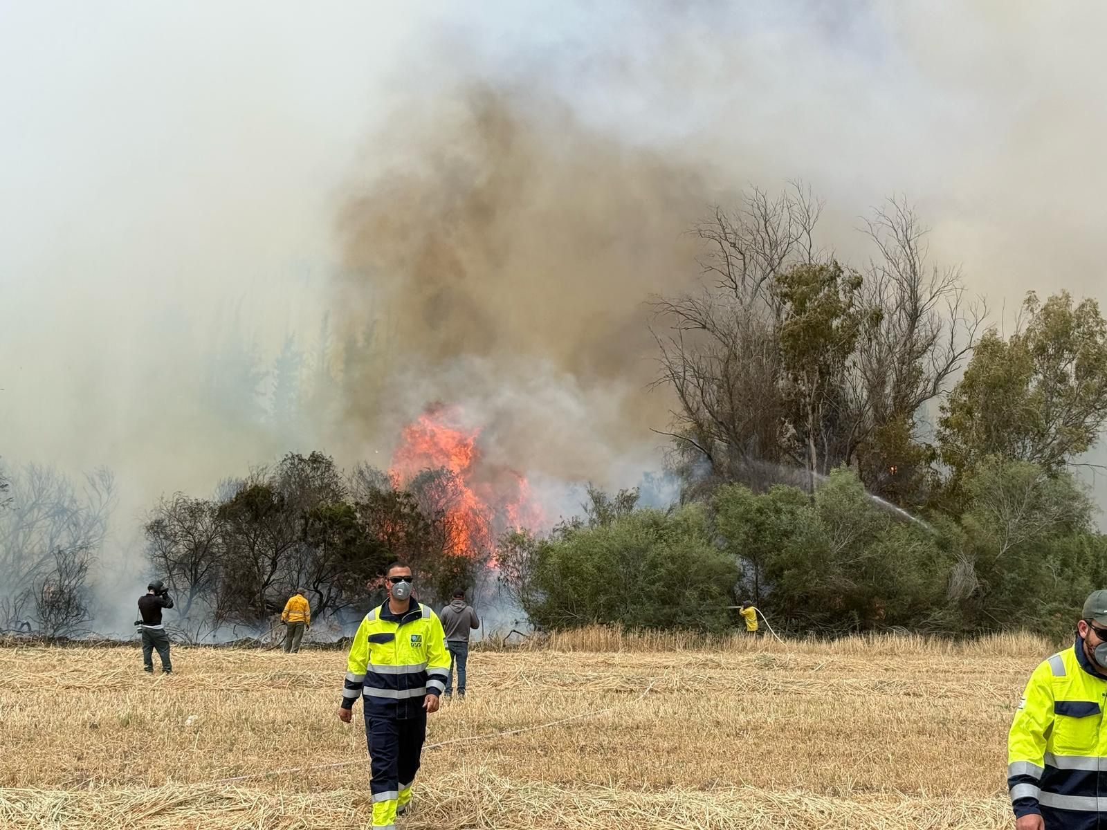 combating-wildfires_tserolnik-rus – Donate KKL-JNF